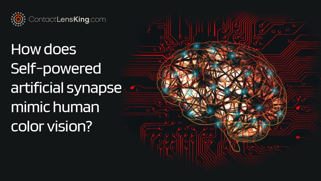How Self-powered Artificial Synapse May Cure Color Blindness - Contact Lens King Blog
