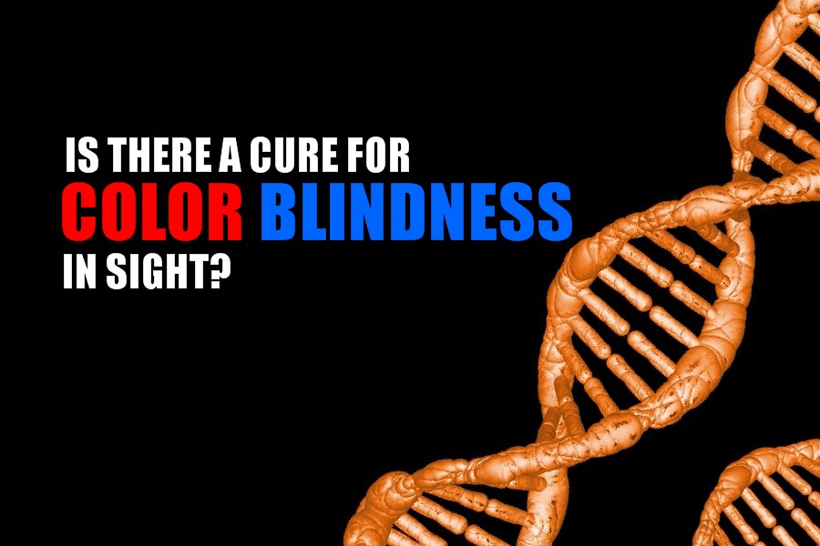 Is a Cure for Color Blindness in Sight? - Contact Lens King Blog