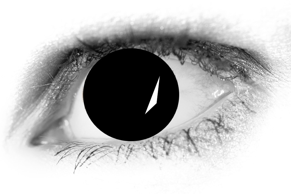 What are the Rarest Eye Colors In The World - Contact Lens King Blog