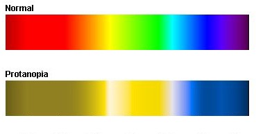 Protanomaly and Protanopia | Understanding Red-Green Color Blindness ...