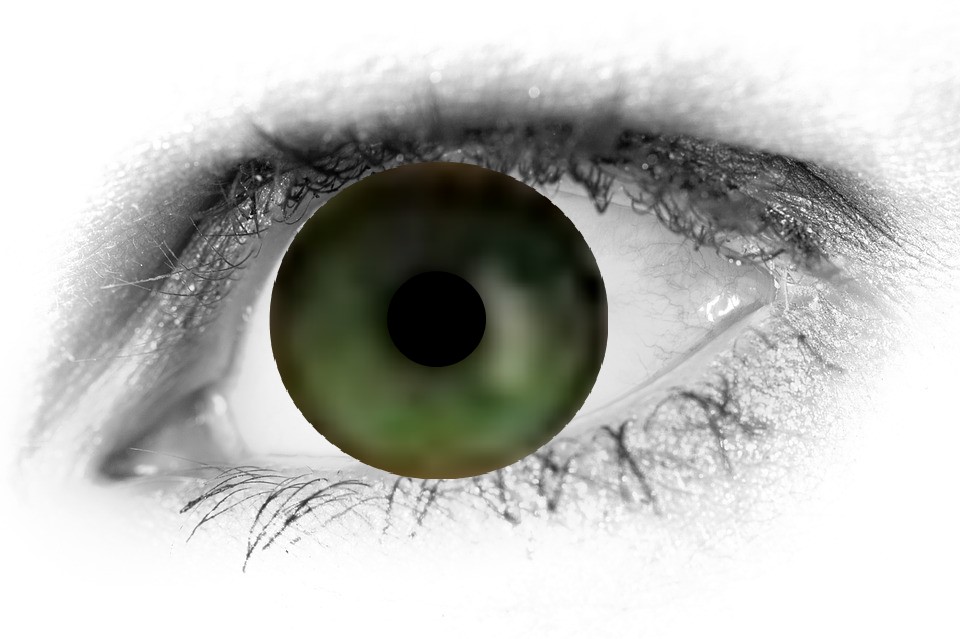 What are the Rarest Eye Colors In The World - Contact Lens King Blog