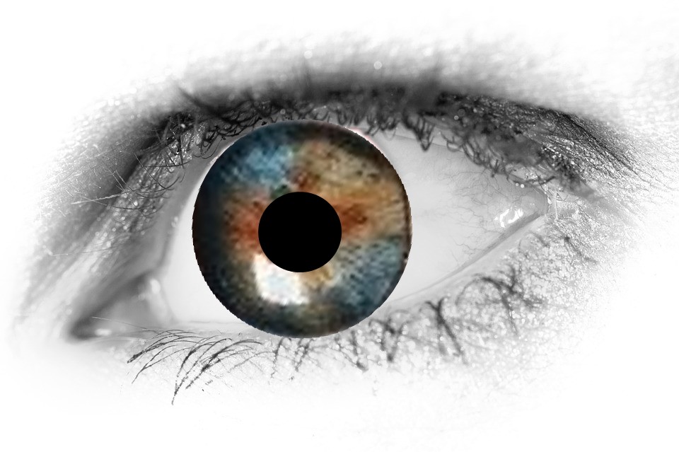 What are the Rarest Eye Colors In The World - Contact Lens King Blog