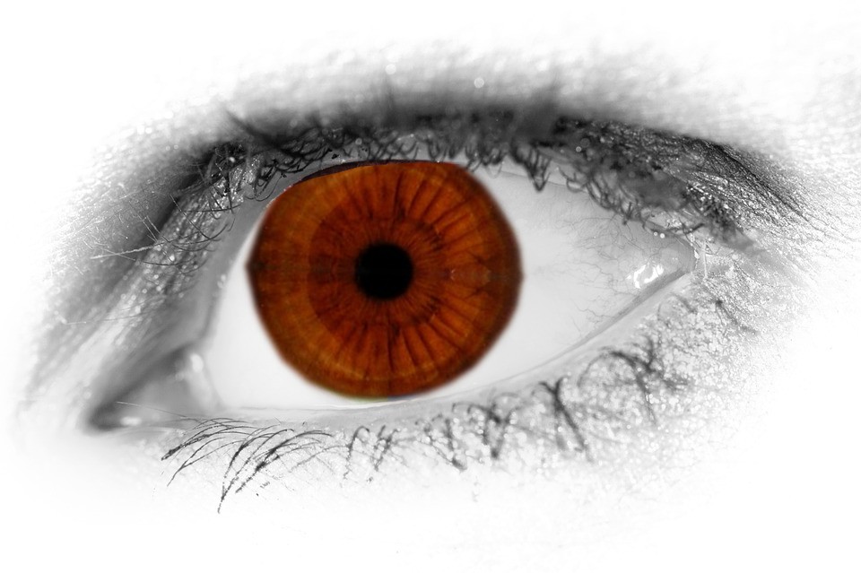 Eye Color Percentages: Most Common Eye Colors In The World - Contact ...